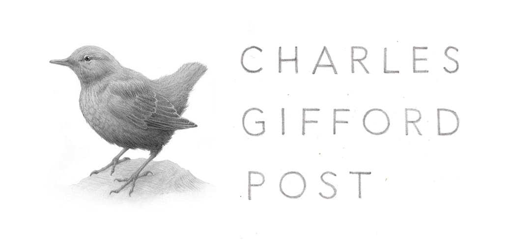 CharlesPost.com - Epik Press